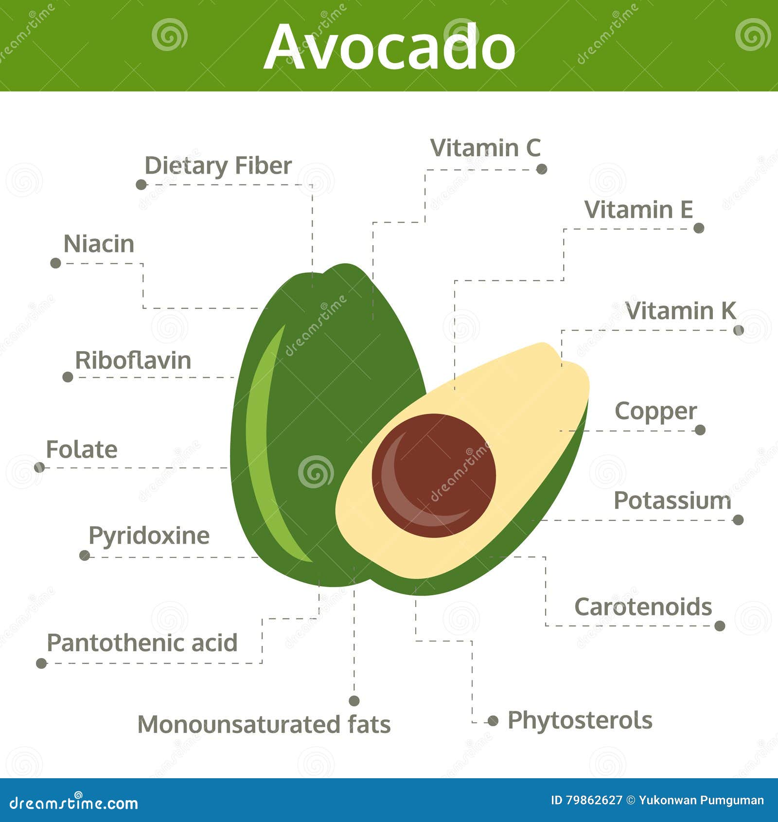 Avocado Nutrient Of Facts And Health Benefits, Info Graphic Cartoon ... Avocado Nutrient Of Facts And Health Benefits, Info Graphic Cartoon ...