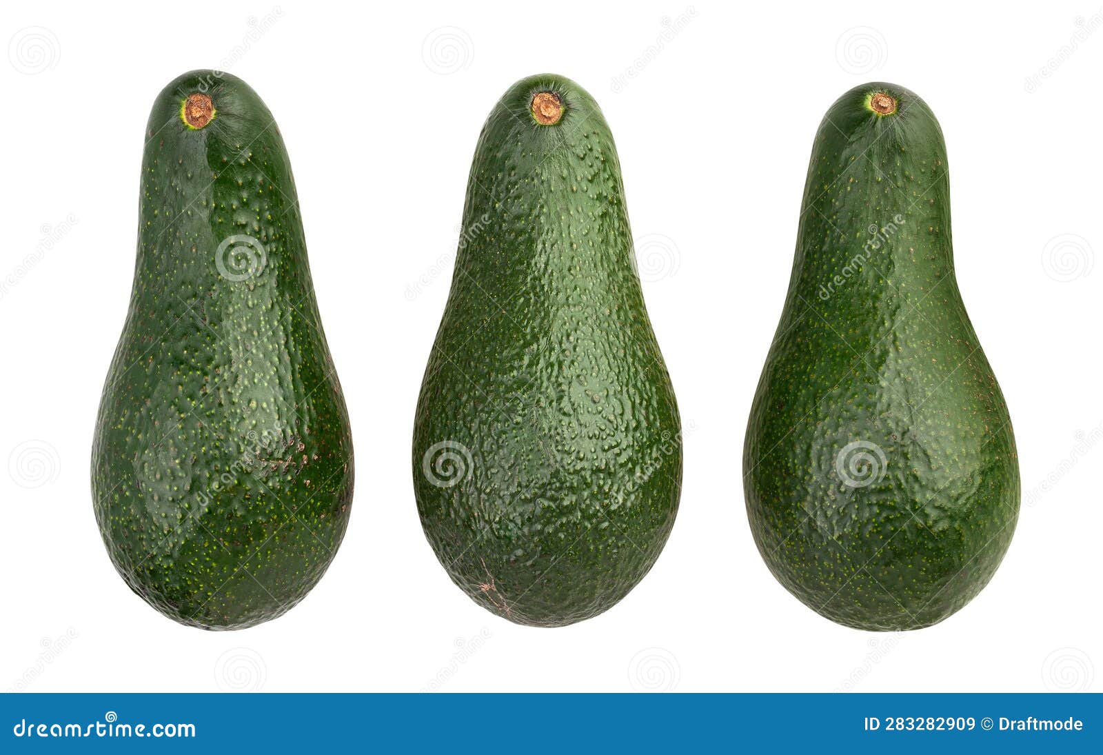 Avocado path isolated stock image. Image of nutrient - 283282909