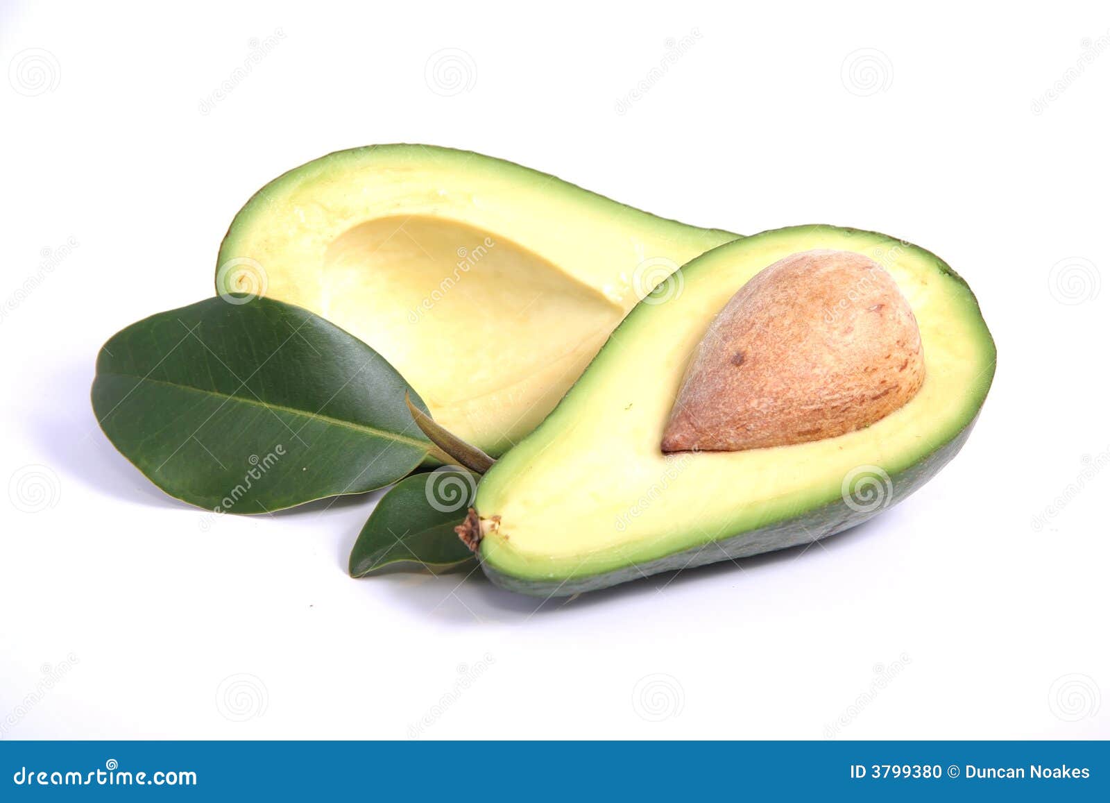 Avocado Pear Fruit stock photo. Image of close, seed, food - 3799380