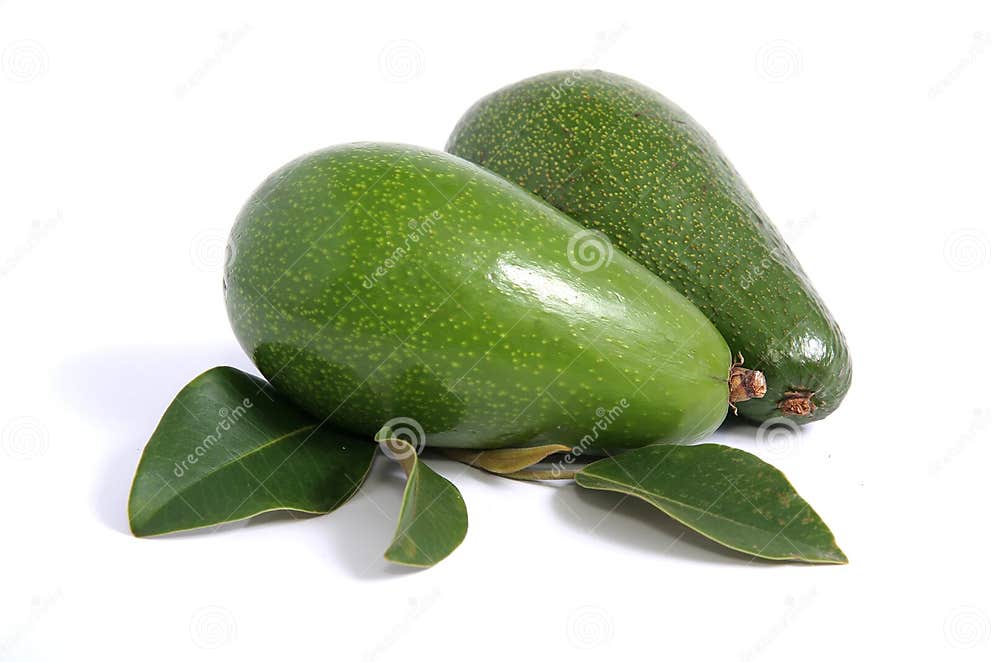 Avocado Pears stock image. Image of americana, brown, fruit - 3804781
