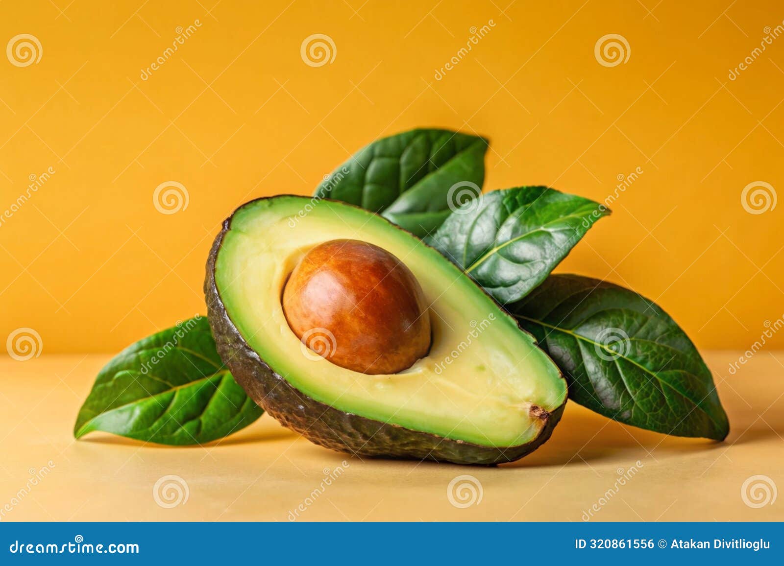 Avocado Photo Shoot in the Studio Stock Illustration - Illustration of ...