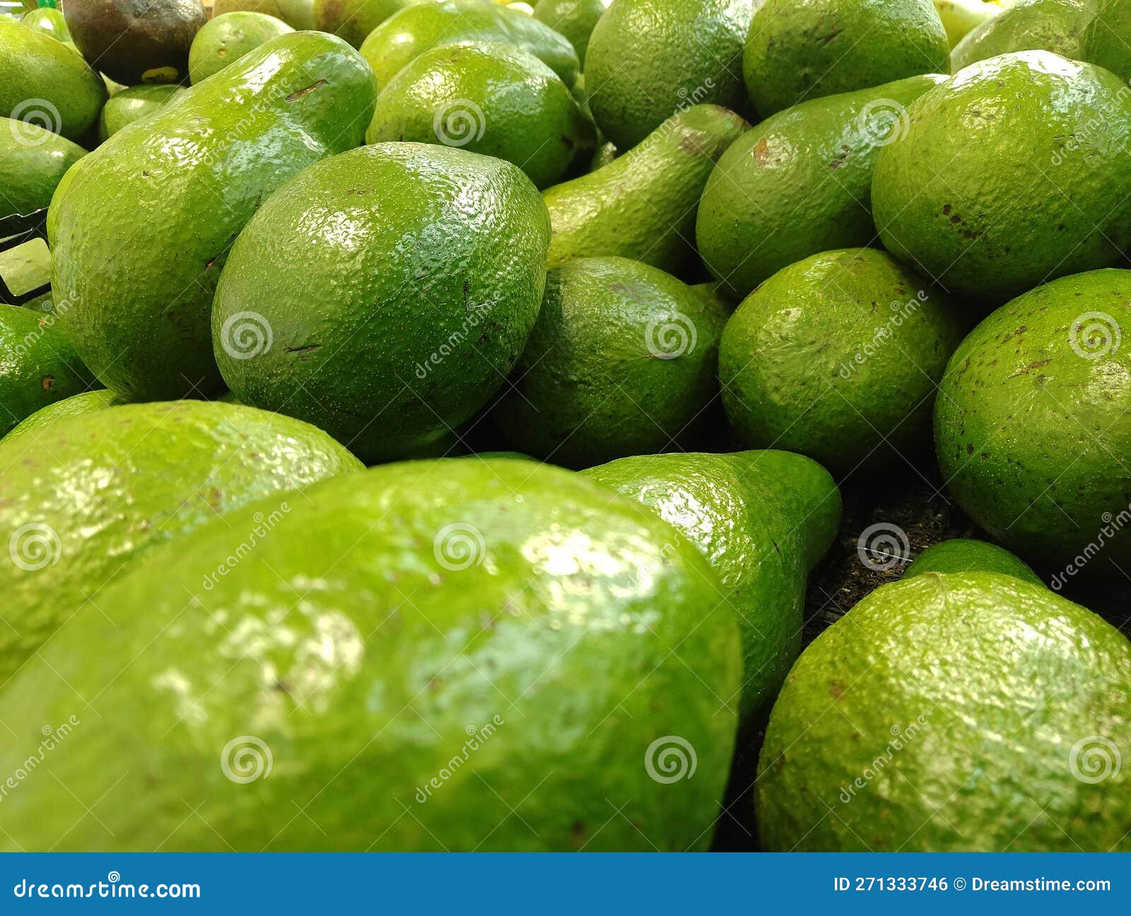 Avocado for sale stock photo. Image of nourishment, crate - 271333746