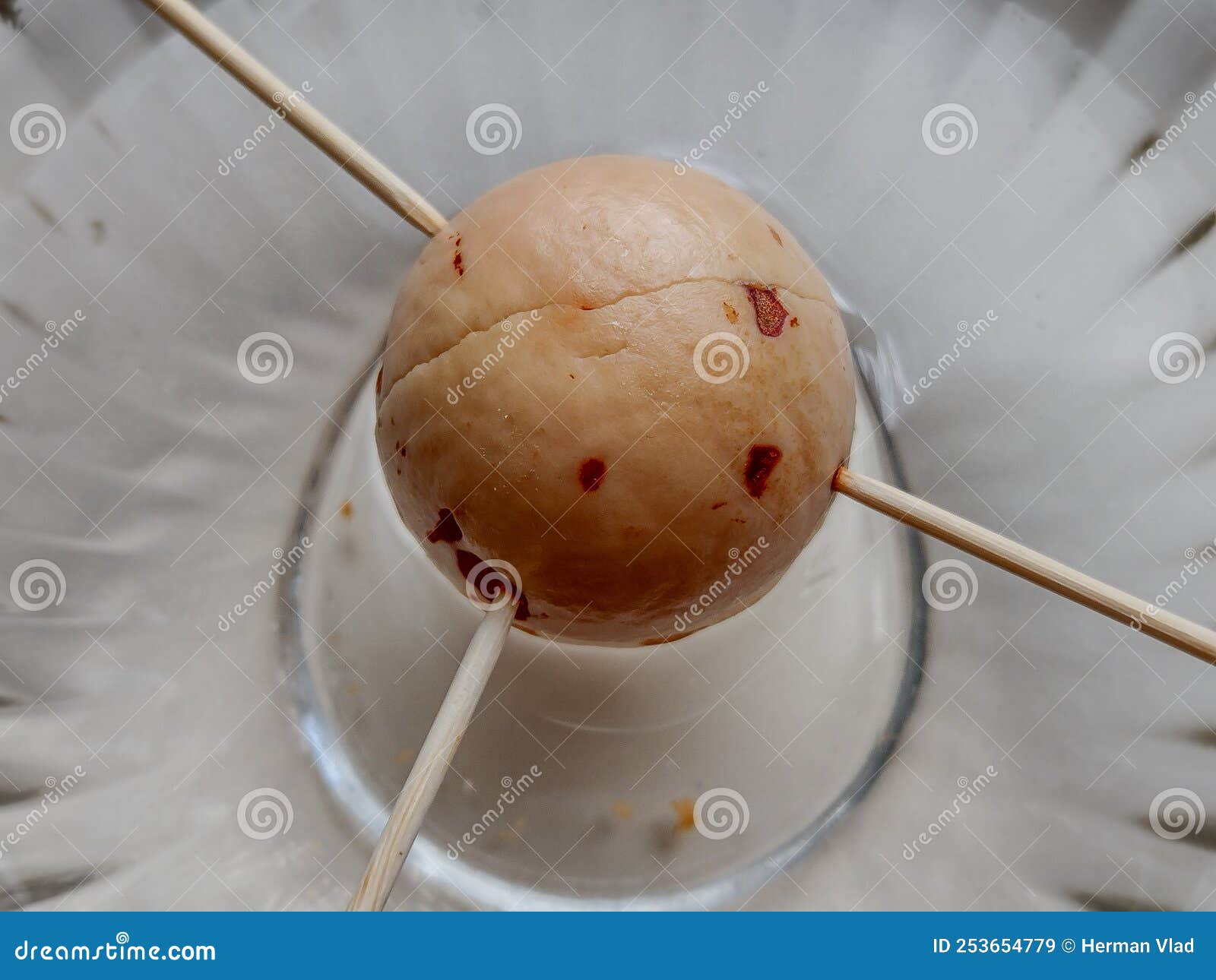 Avocado Seed Germinated in Water. Avocado Kernel Stock Image - Image of ...