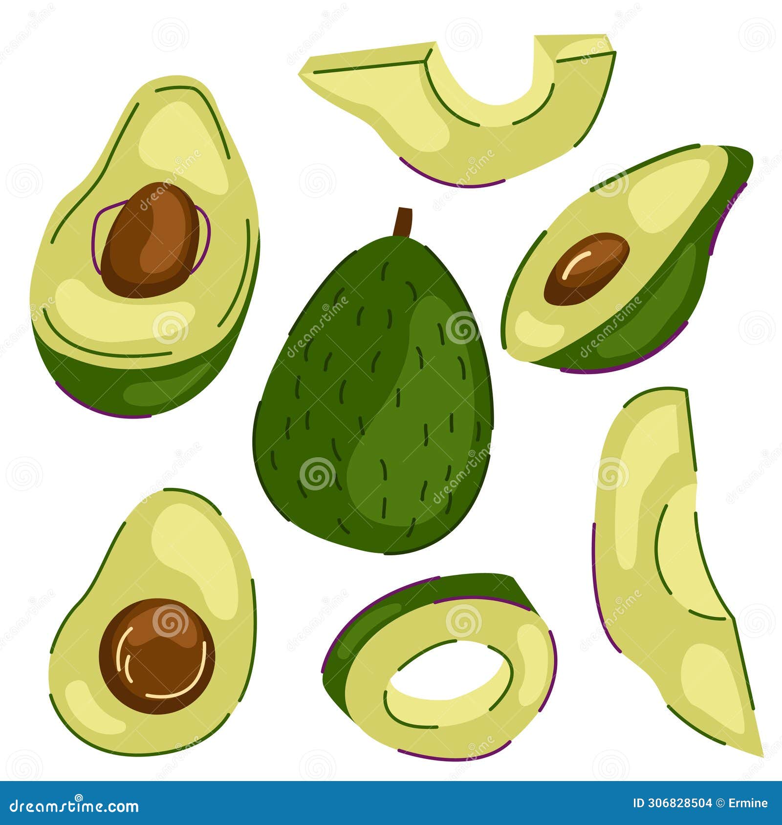 Avocado set stock vector. Illustration of drawing, healthy - 306828504