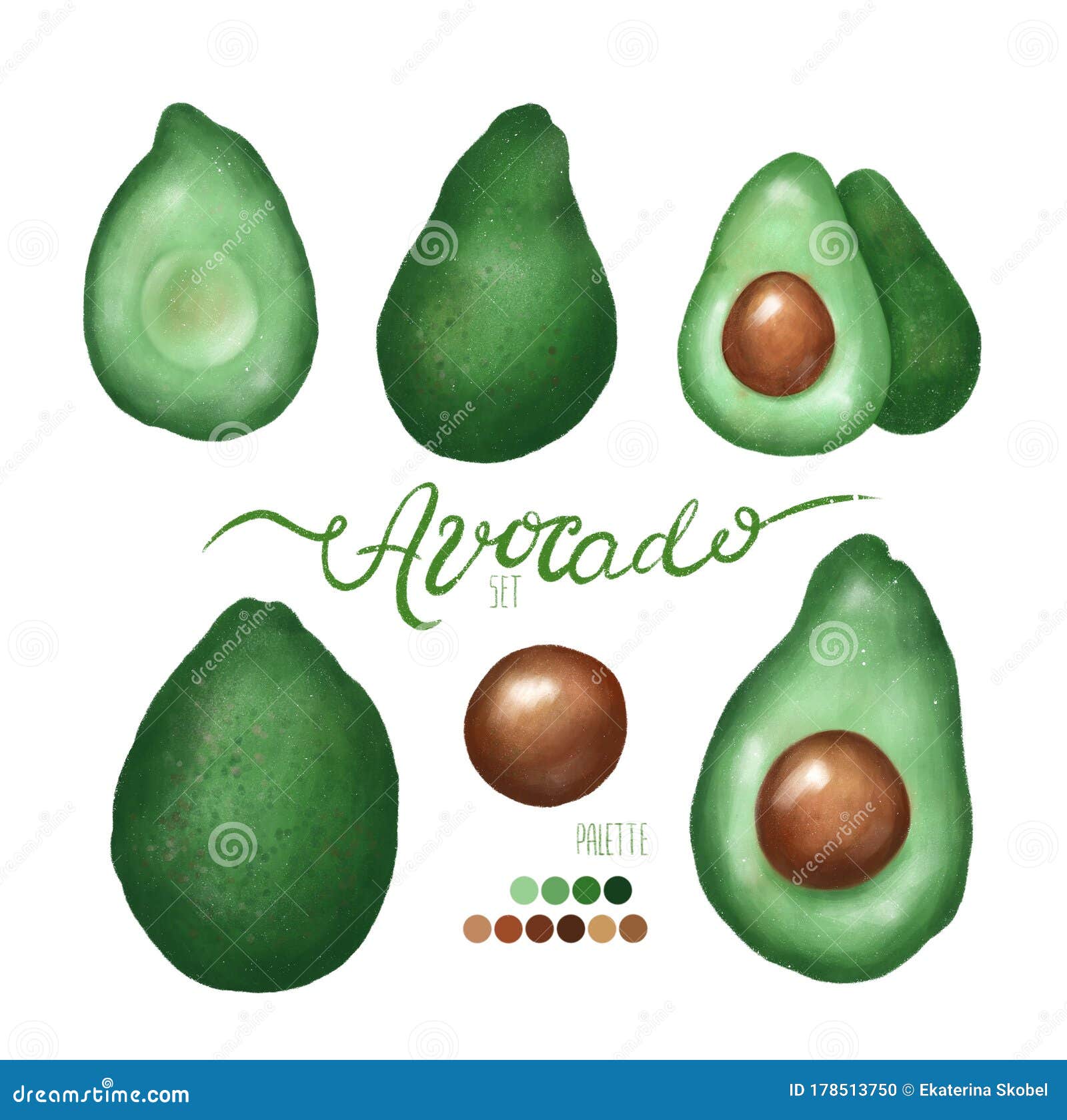 Avocado Set, Procreate Sketch, Raster Illustration, Isolated on White ...
