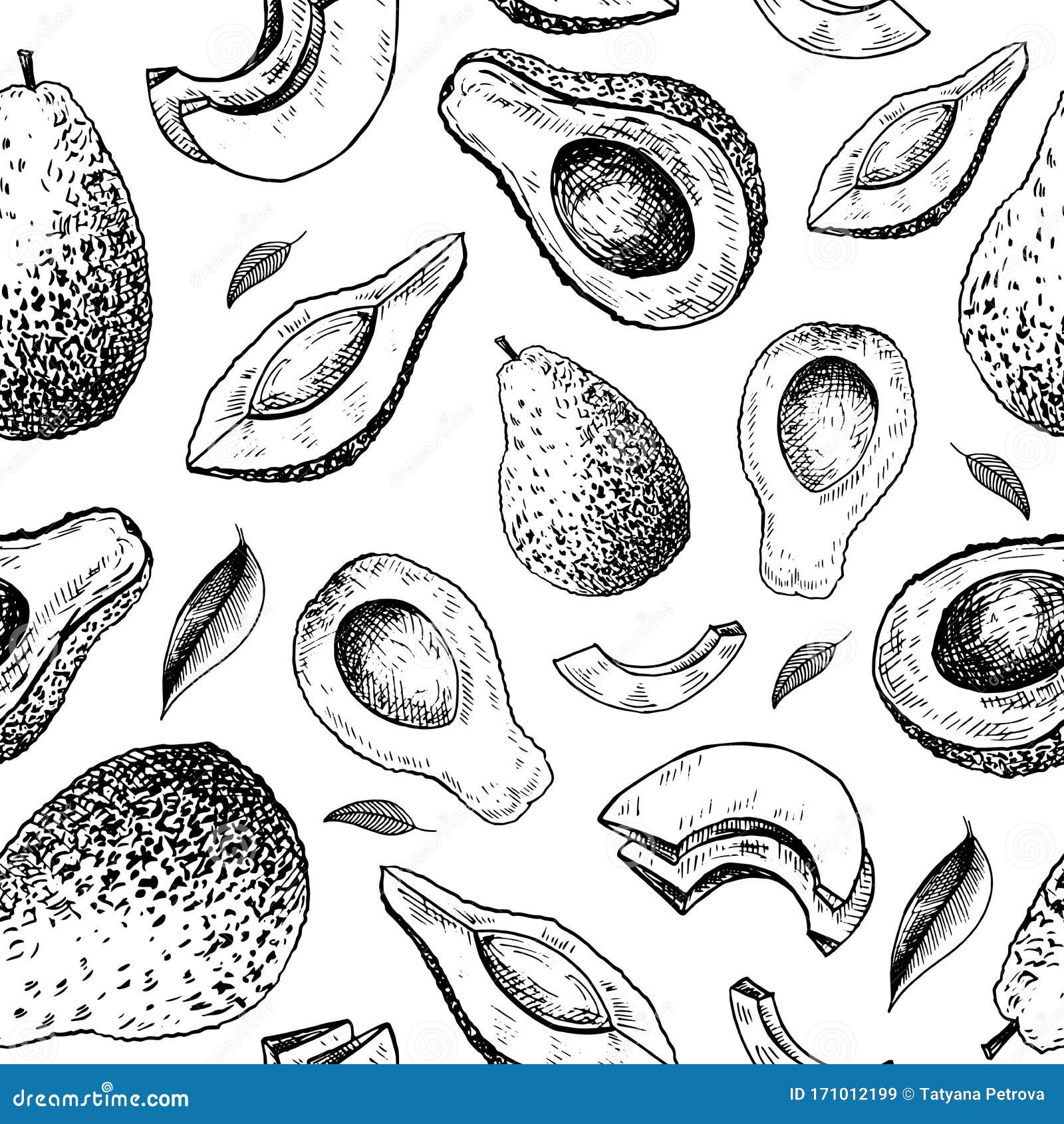 Avocado Sketch Pattern. Hand Drawn Black Avocado on Transparent ...