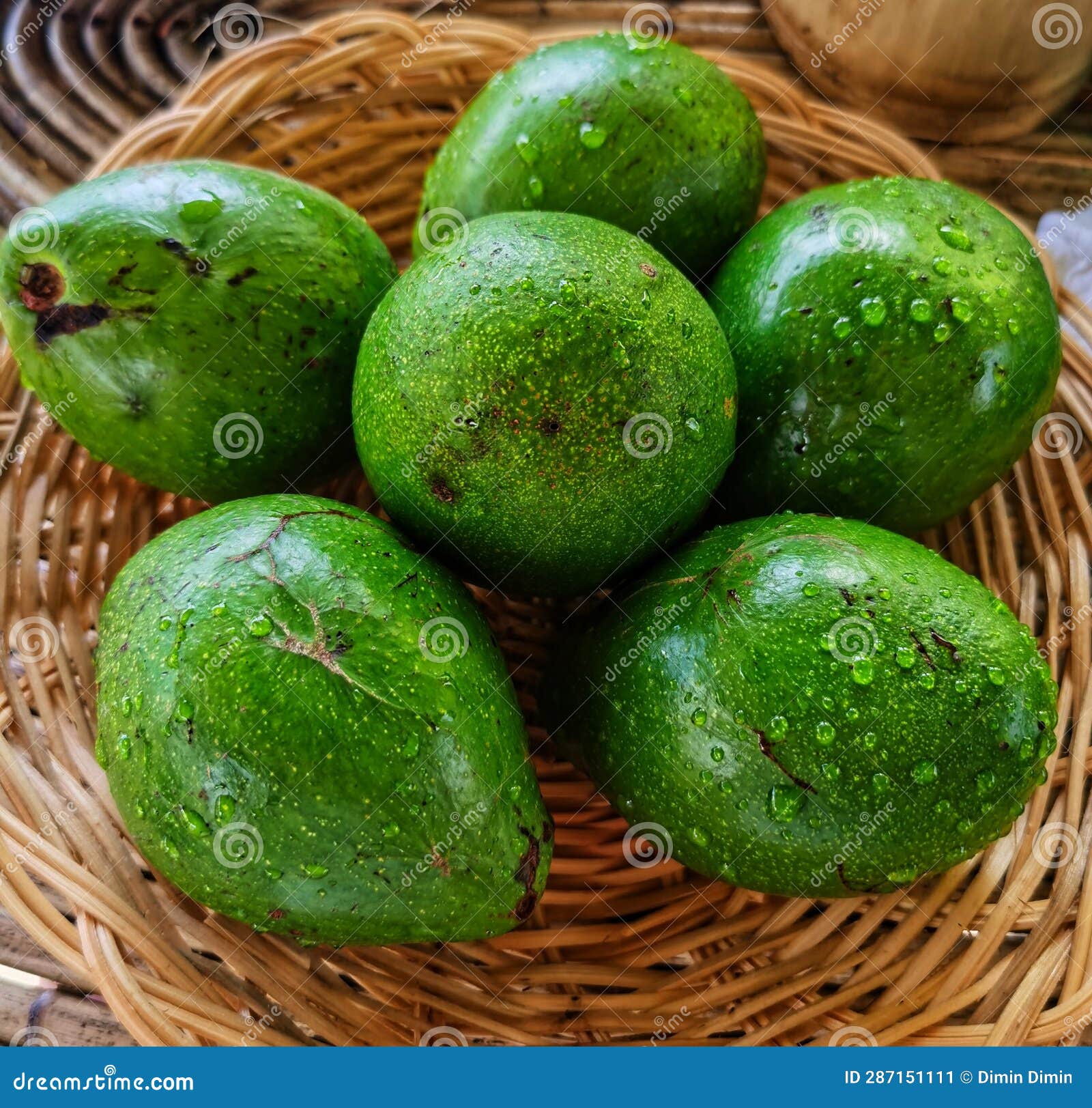 Avocado or Avocado is a Table Fruit-producing Plant with the Same Name ...