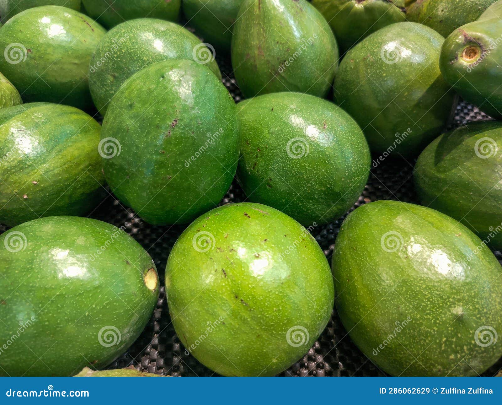 Avocado is a Table Fruit-producing Plant with the Same Name. this Plant ...