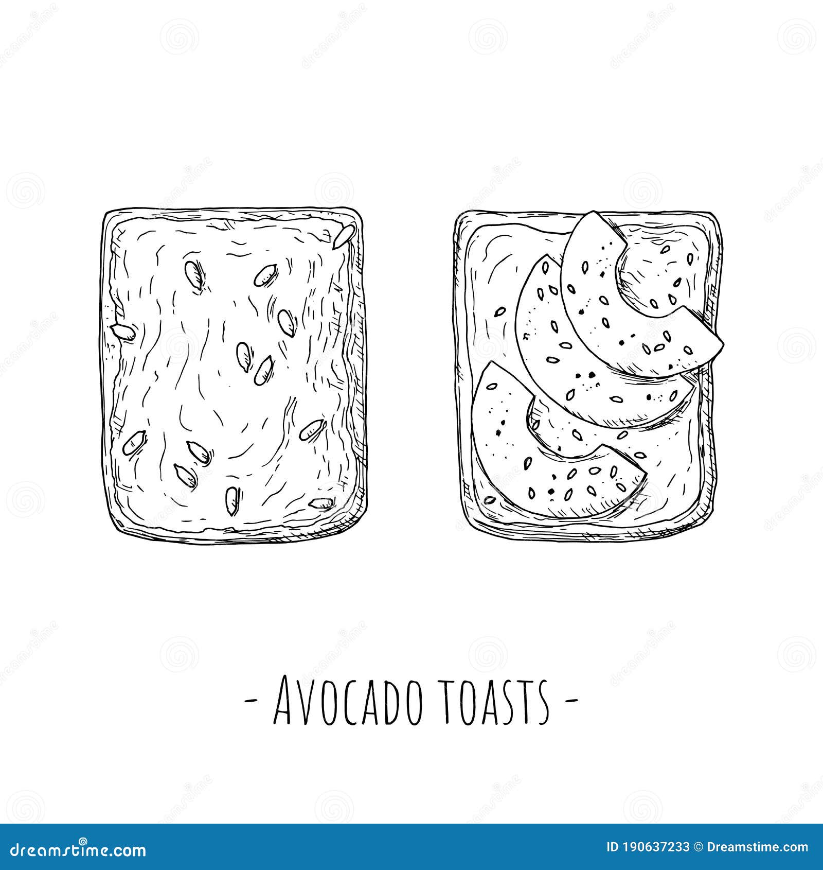Avocado Toasts. Top View. Hand-drawn Style. Isolated. Stock Vector ...