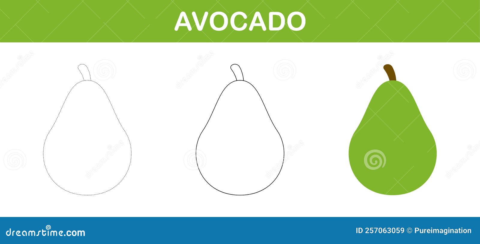 Avocado Tracing and Coloring Worksheet for Kids Stock Vector ...
