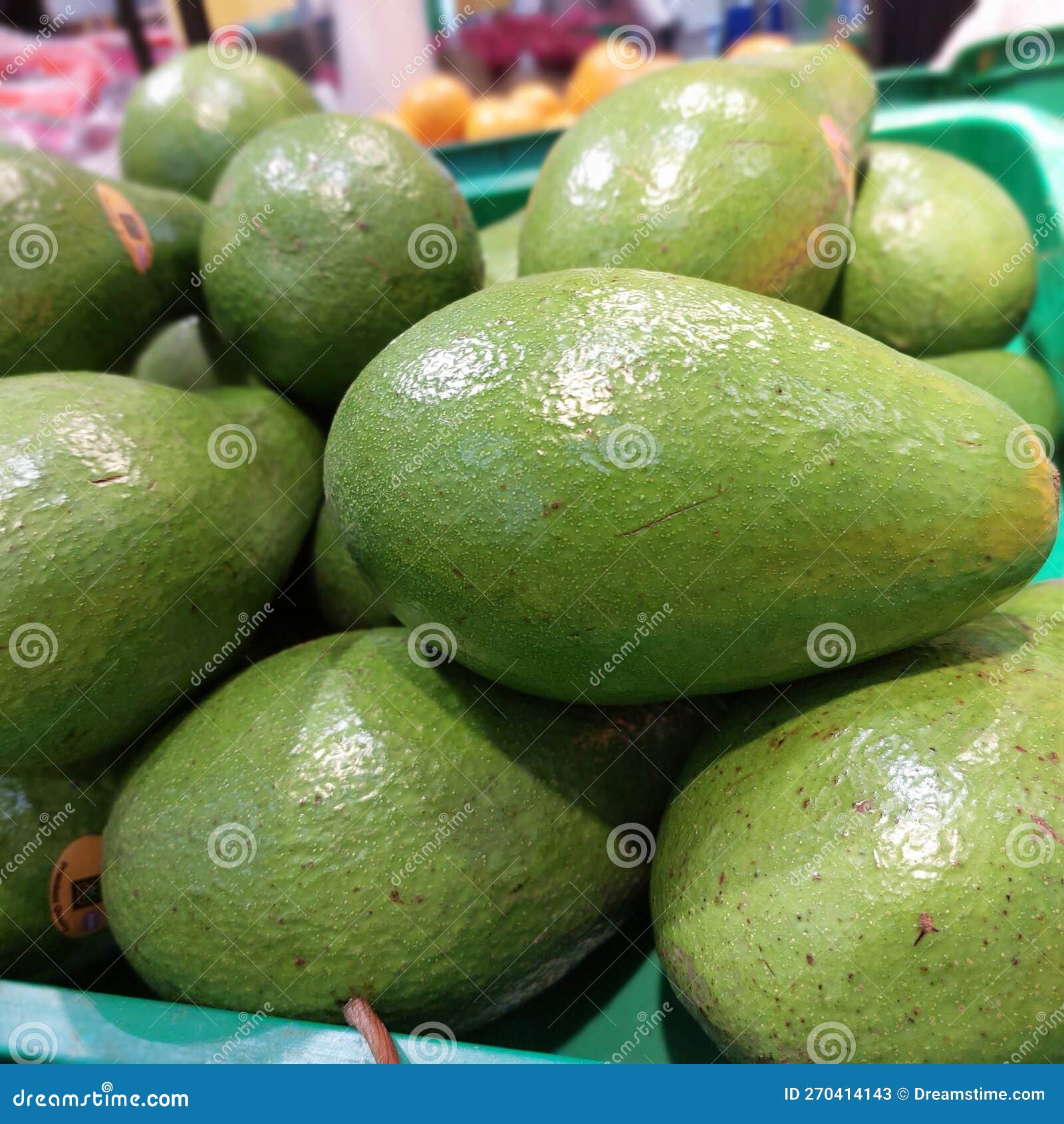 Avocado the Tropical Fruits in a Basket Stock Image - Image of tropical ...