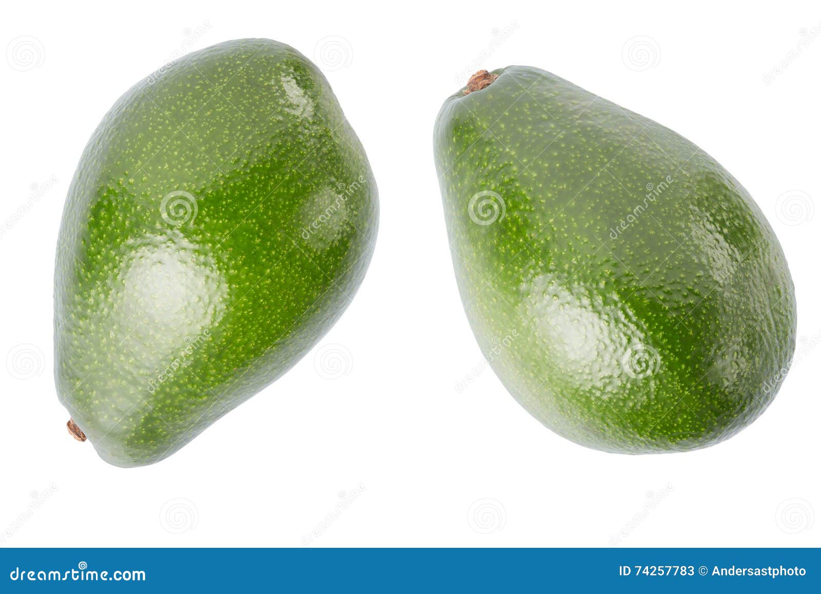 Avocado Two Fruits Isolated on White Stock Image - Image of avocados ...