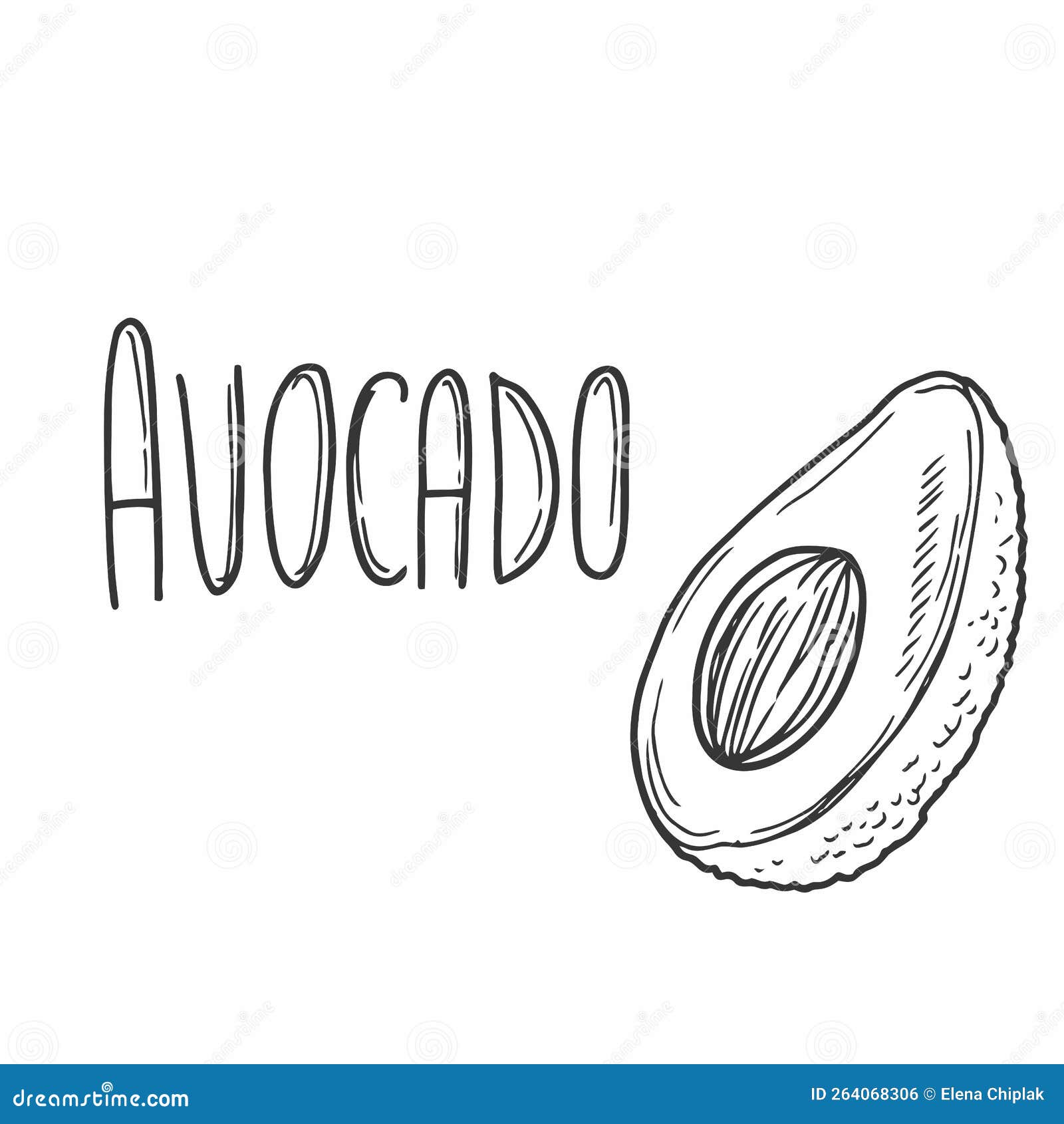 Avocado Vector Hand Drawn Lettering with Avocado Illustration Stock ...