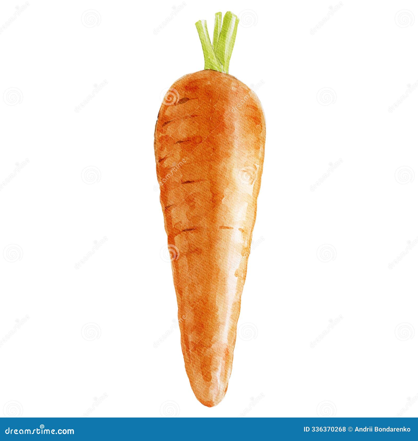 Low Carbs - Watercolor Handwritten Lettering Vector Illustration ...