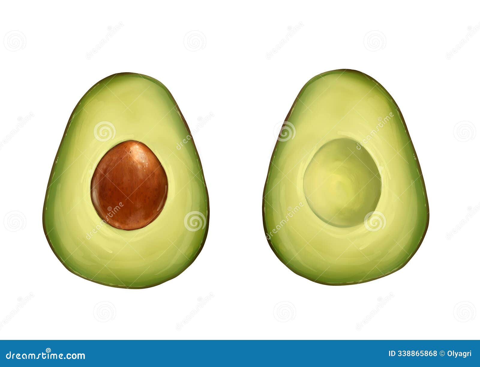 Avocado on White Background. Design Element. Stock Photo - Illustration ...