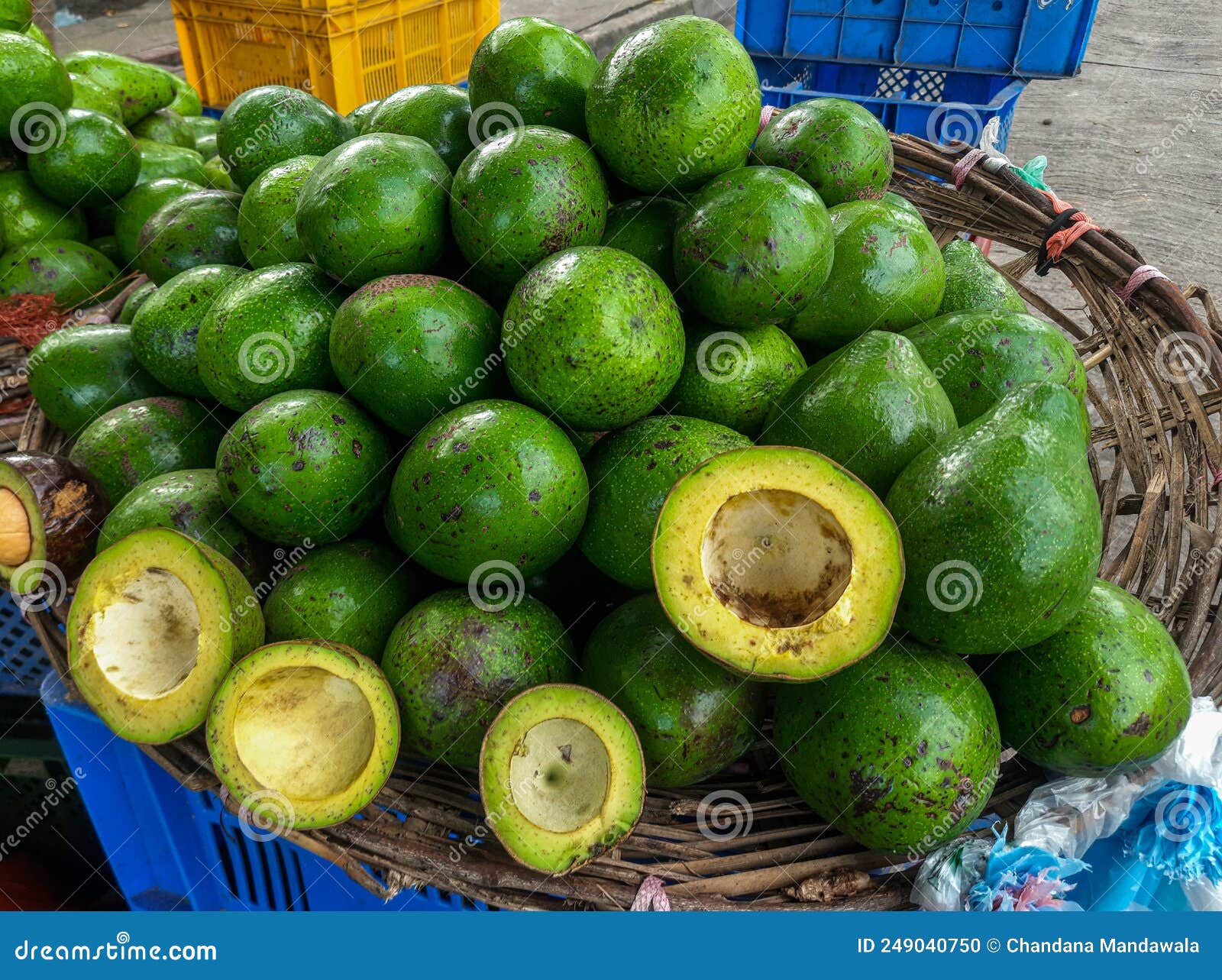 Avocados or alligator pear stock photo. Image of gourd - 249040750