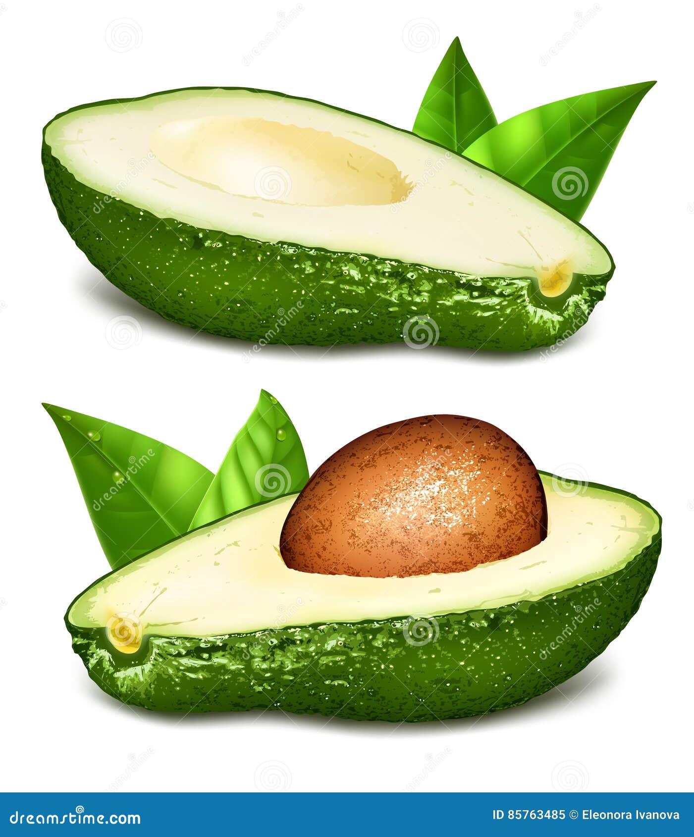 Avocados with Core Vector Illustration Stock Vector - Illustration of ...