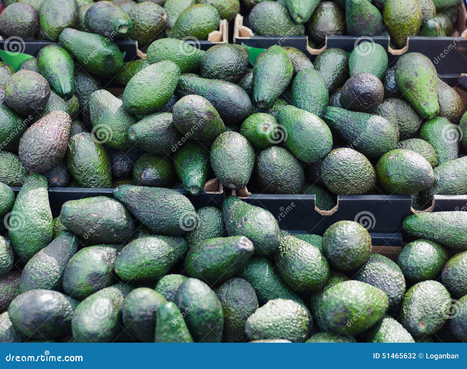 Avocados on Display at Market Stock Photo - Image of fresh, color: 51465632