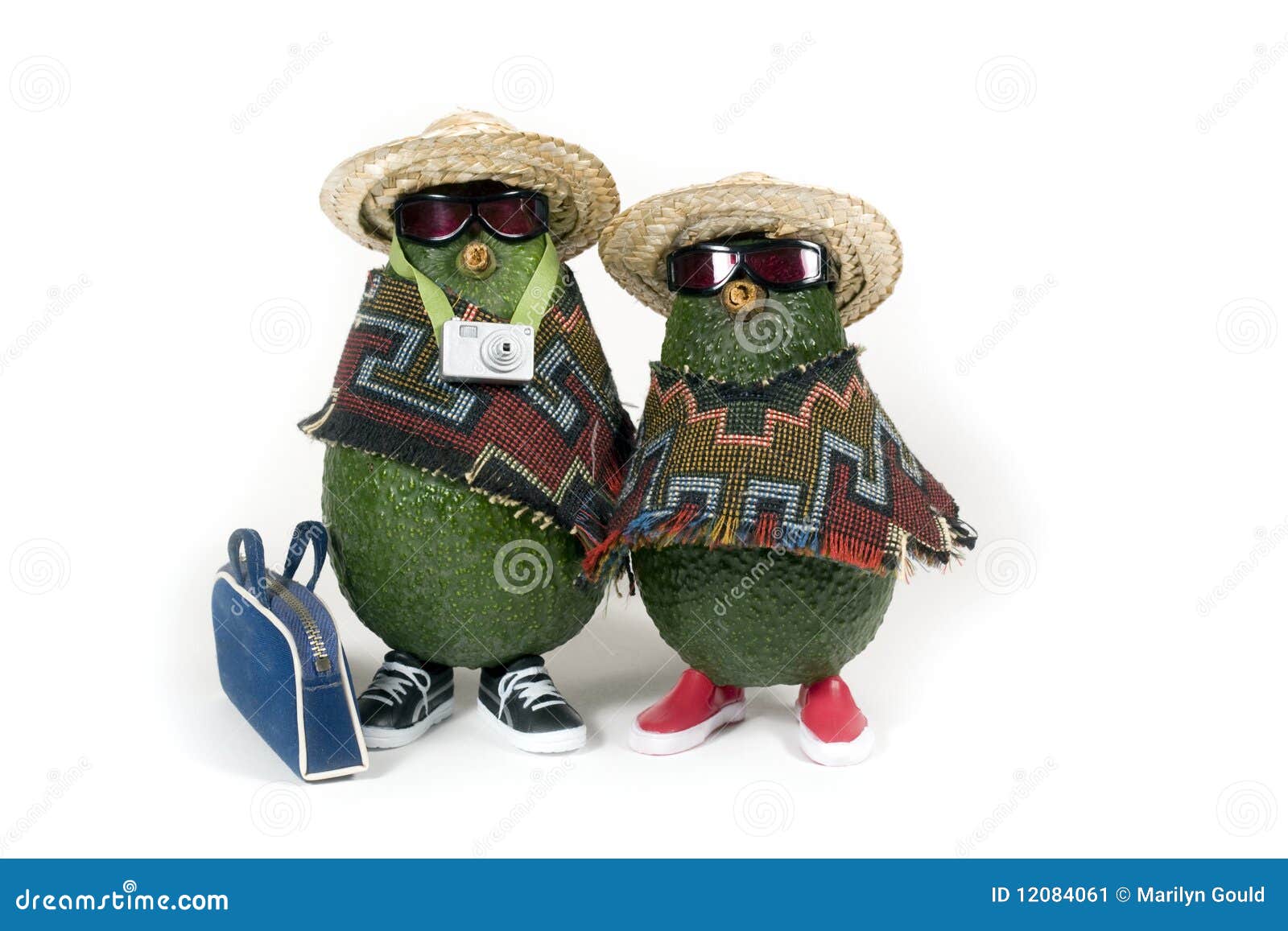 Avocados - Travelers stock image. Image of fruit, couple - 12084061