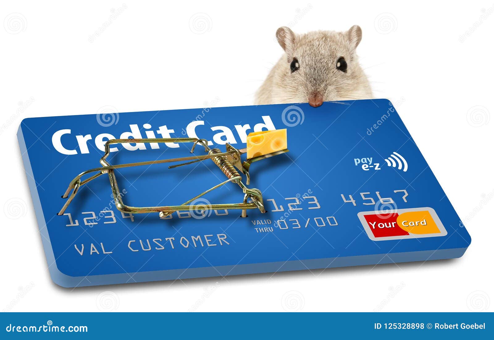 Avoid Credit Card Traps. a Baited Mousetrap Makes this Point. Stock ...
