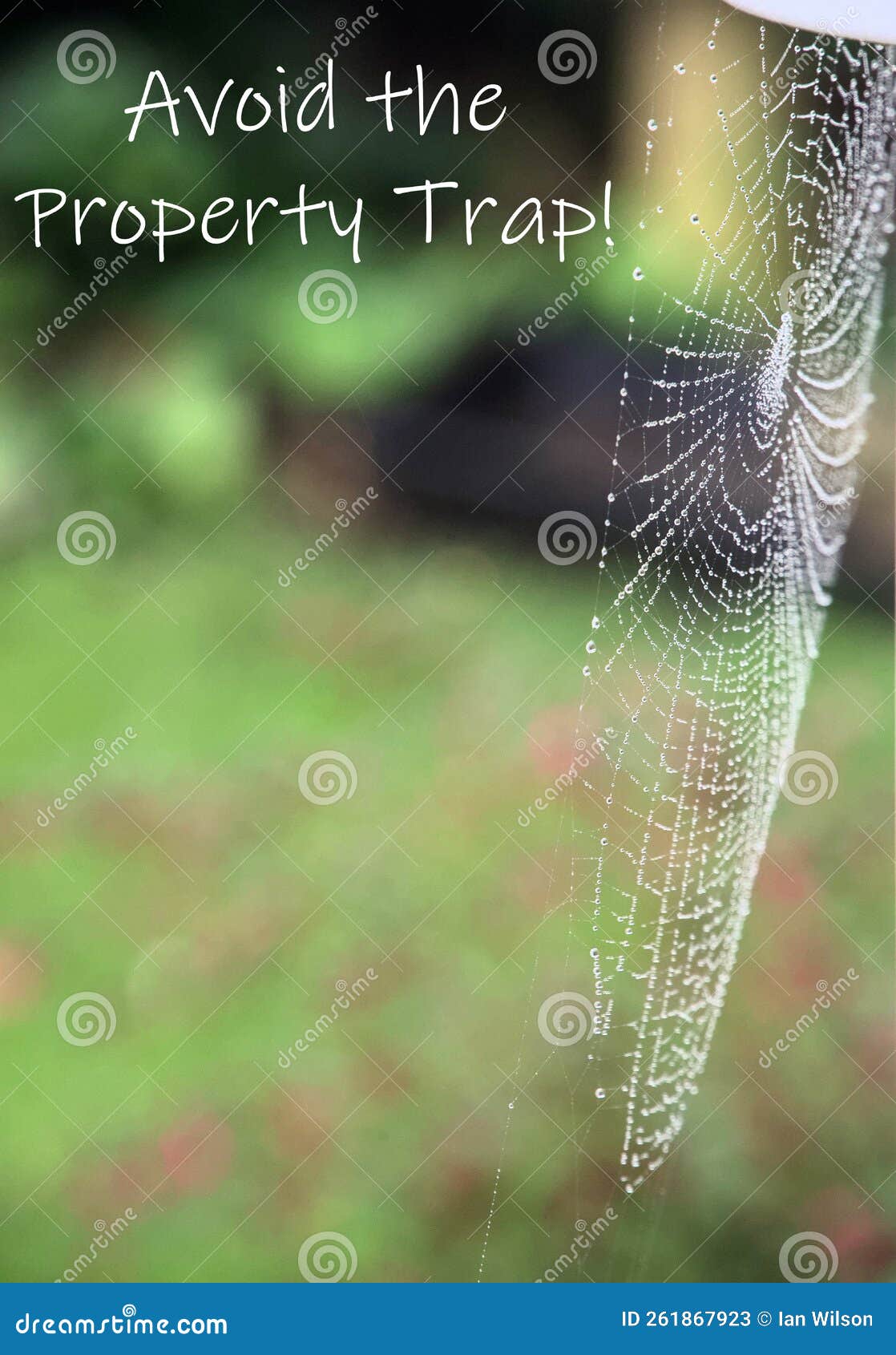 Avoid the Property Trap - Warning Message with Spider Web Stock Image ... Avoid the Property Trap - Warning Message with Spider Web Stock Image ...