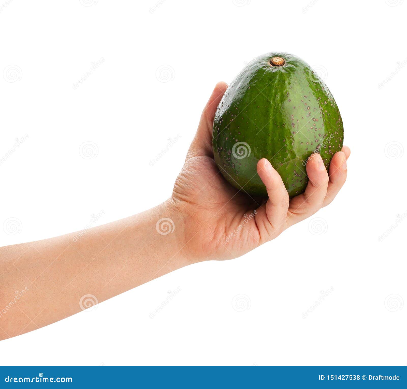 Avozilla avocado stock photo. Image of side, fresh, nutrition - 151427538