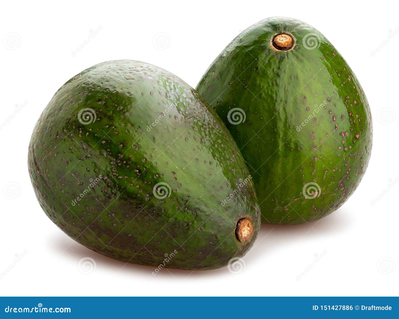 Avozilla avocado stock photo. Image of food, nutrition - 151427886