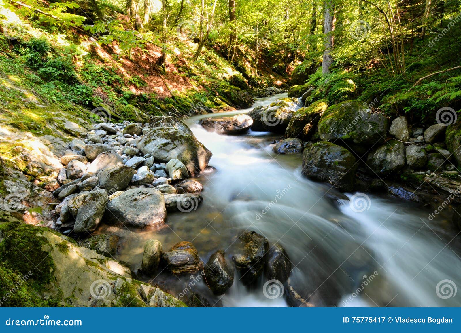 Avrig river stock image. Image of river, water, nature - 75775417