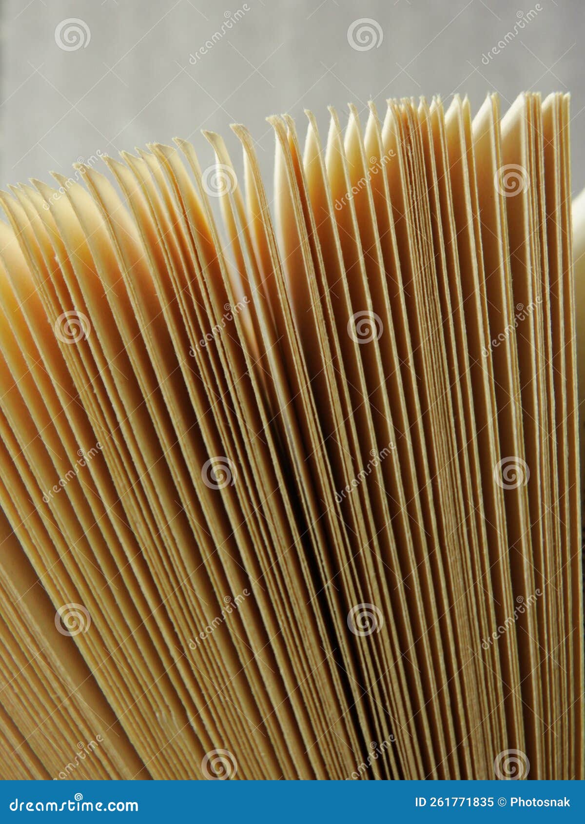 Avslutning av boksidor. fotografering för bildbyråer. Bild av räkning ...