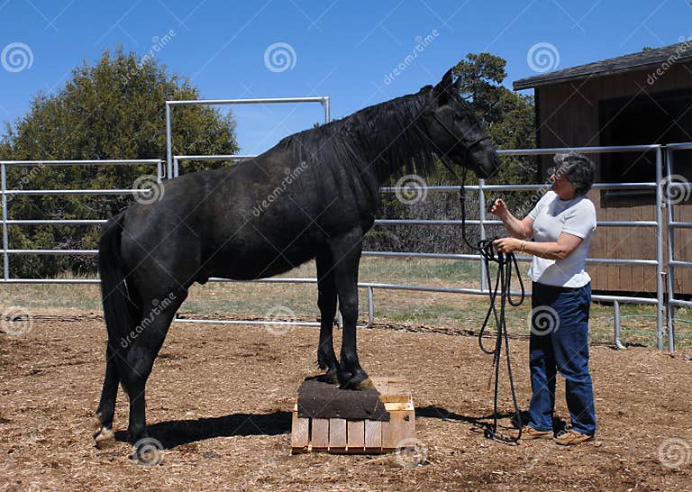 Awaiting instructions stock photo. Image of outdoors - 10500596