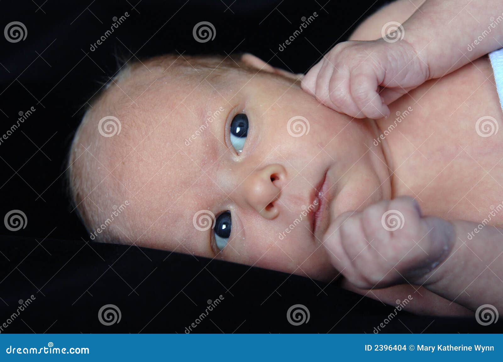 Awake newborn baby stock photo. Image of full, rest, love - 2396404
