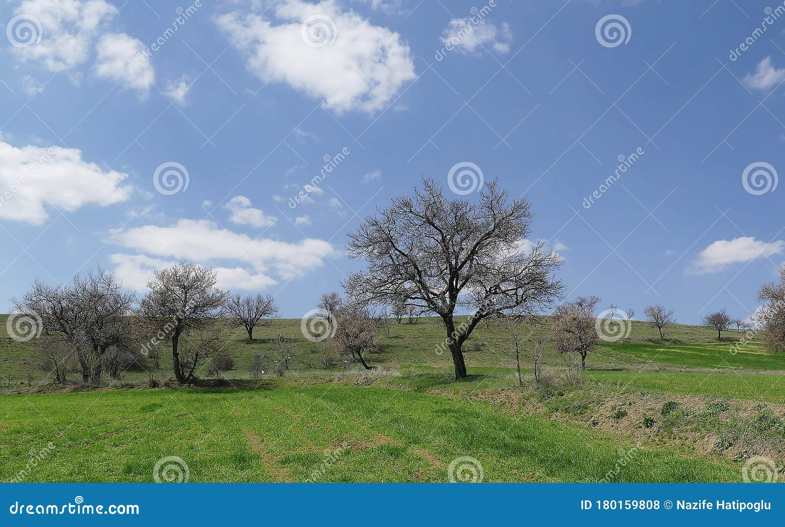 The Awakening of Nature in the Continental Climate, when the Spring ...