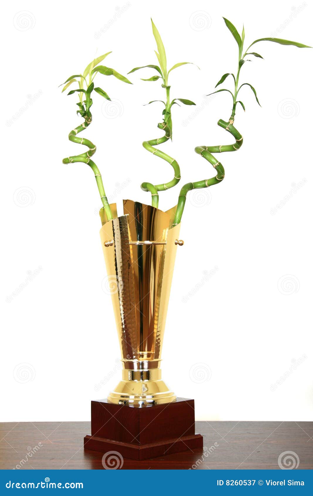 Award for best bamboo stock image. Image of event, honor - 8260537
