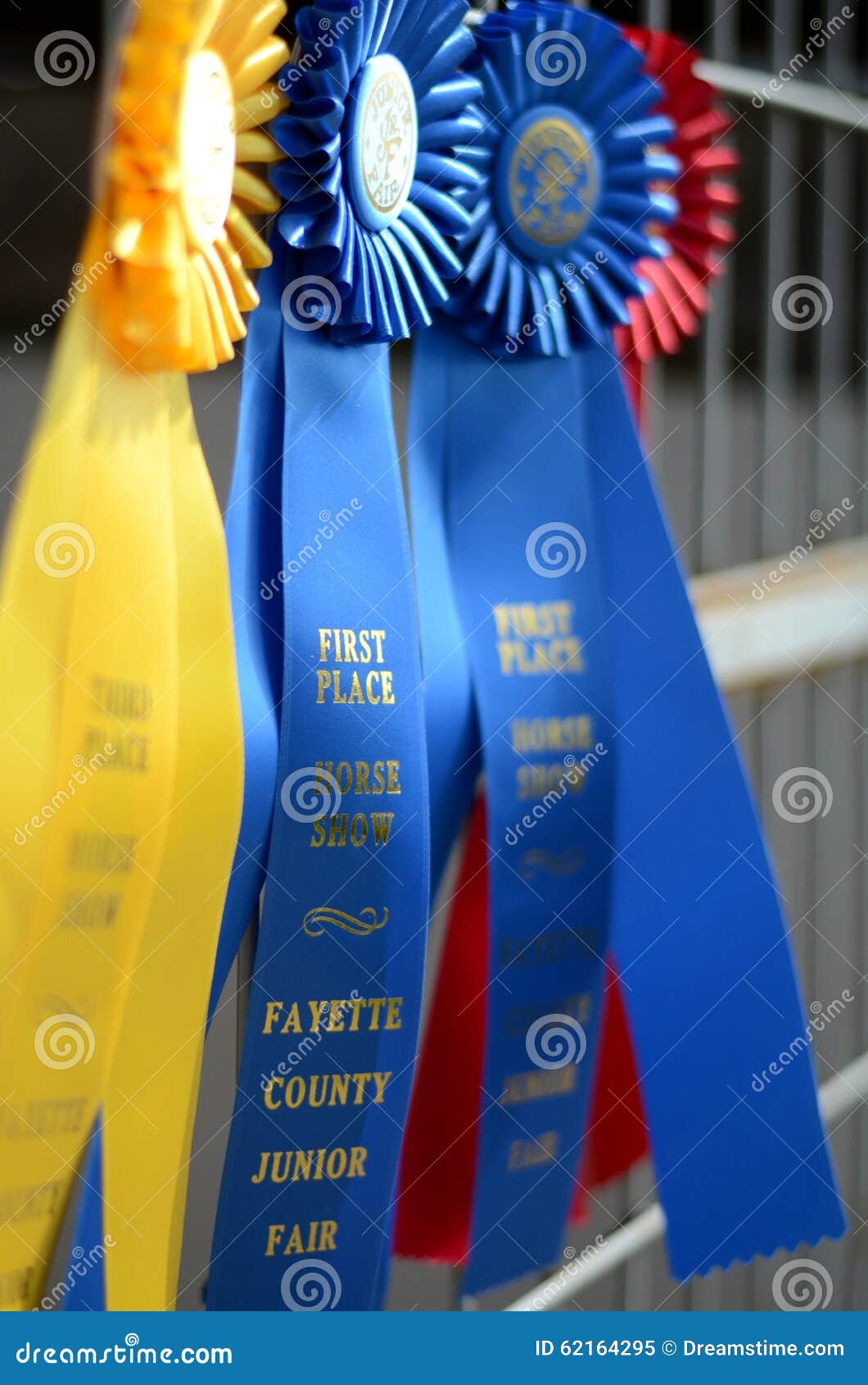 Award Ribbons editorial image. Image of hogs, horses - 62164295