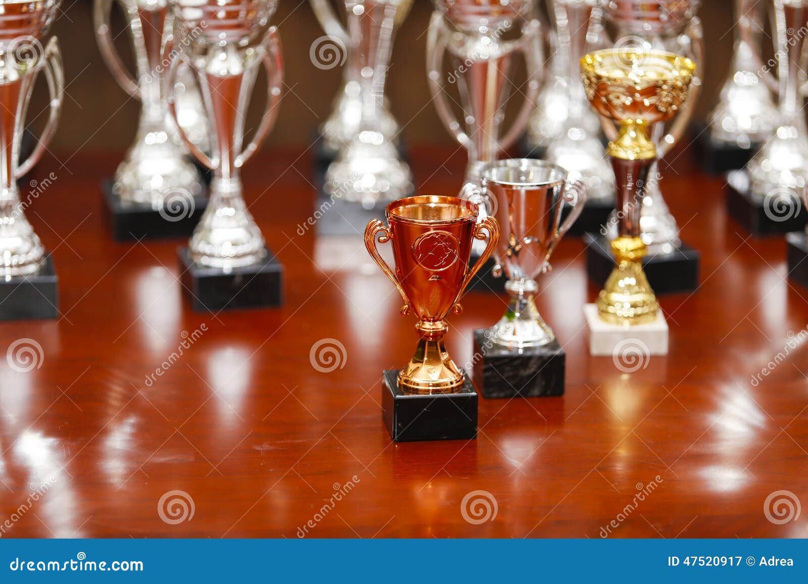 Kids and Adult Race Awards on a Table Stock Image - Image of ...