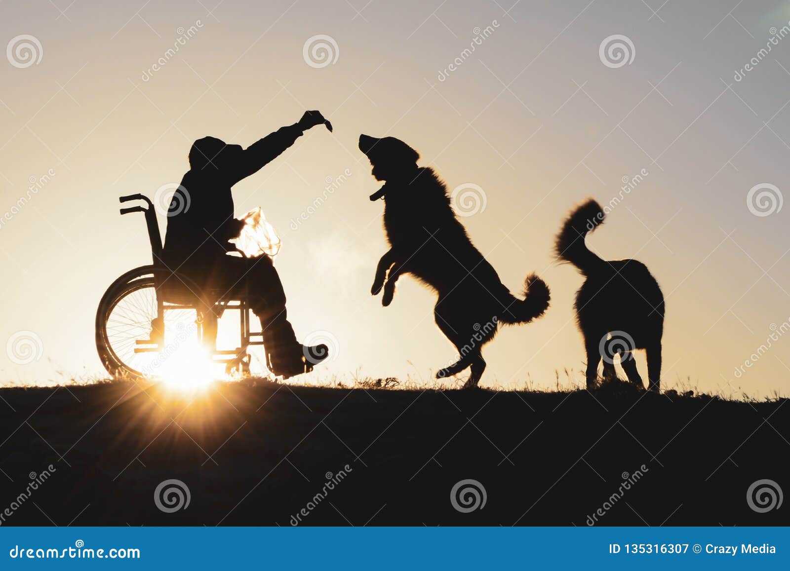 People with Faith,courage and Unusual Disabilities Stock Image - Image ...