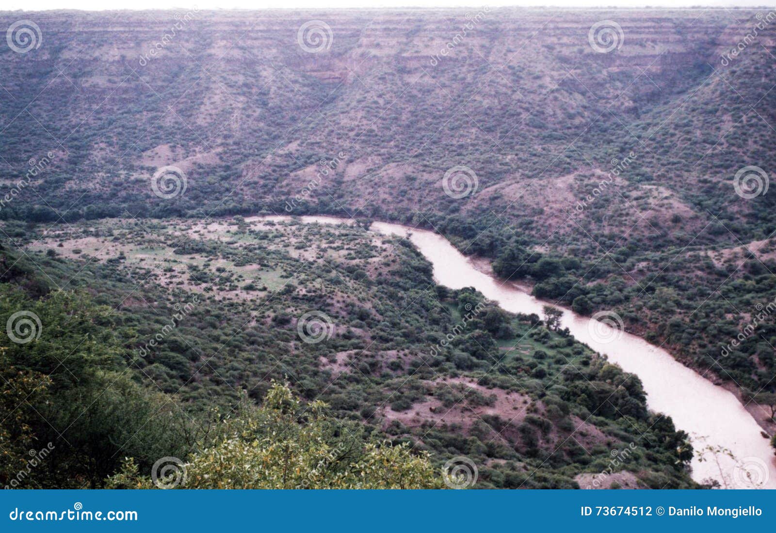 Awash river stock photo. Image of national, african, river - 73674512
