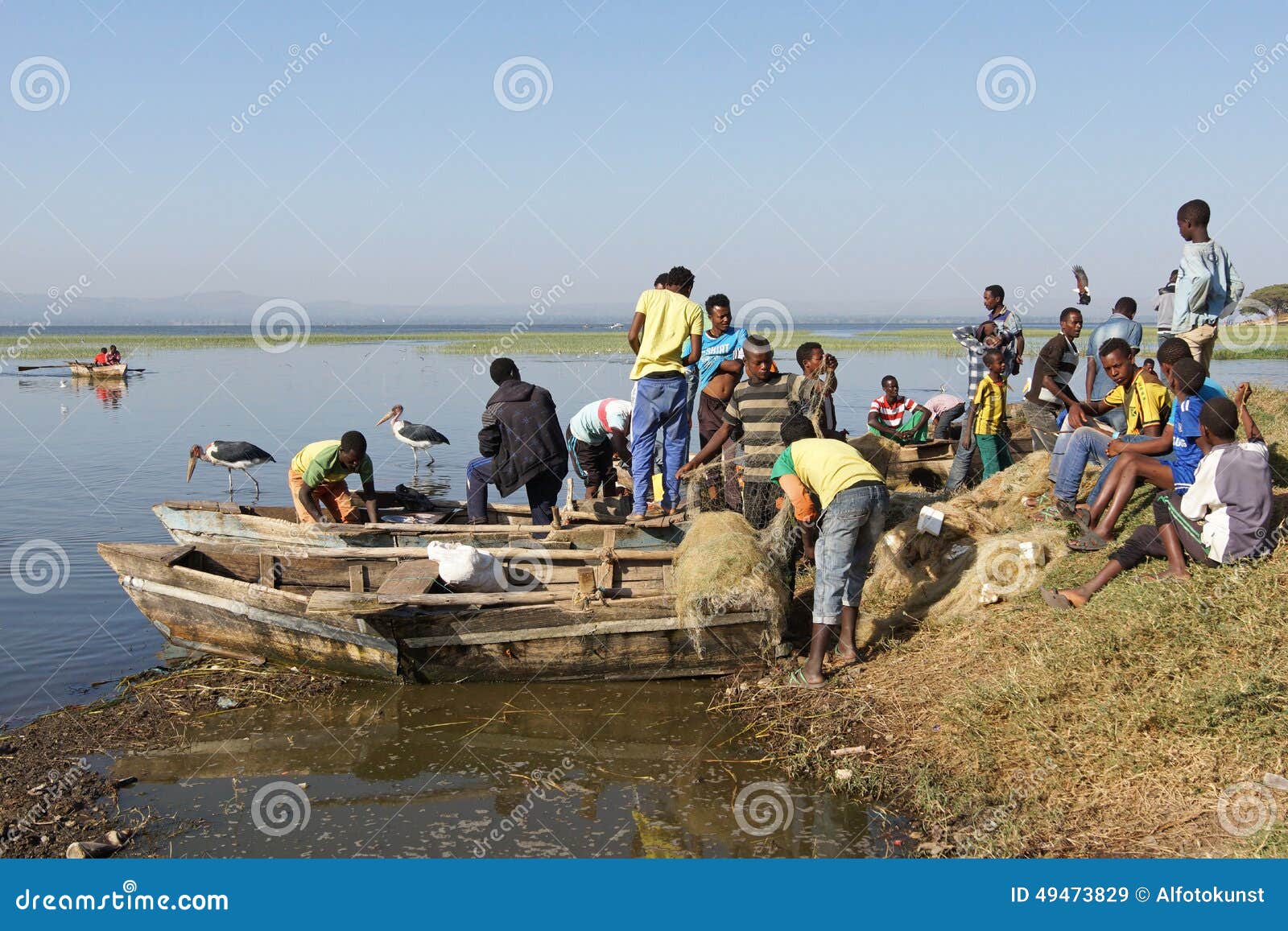 Awassa, Etiopia, Africa immagine stock editoriale. Immagine di pesci ...