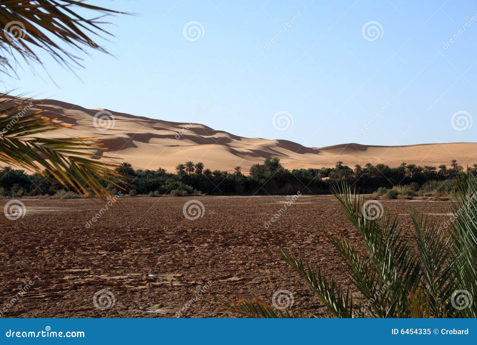 Awbari oasis stock image. Image of awbari, sand, libya - 6454335