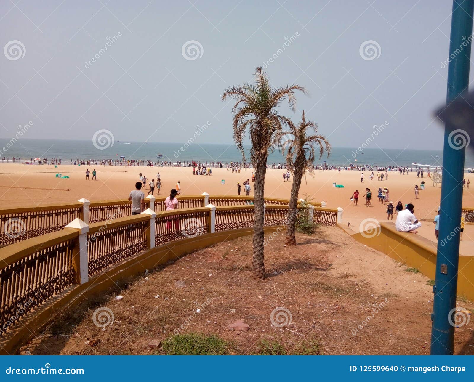 Awesome beach in goa editorial image. Image of coconut - 125599640