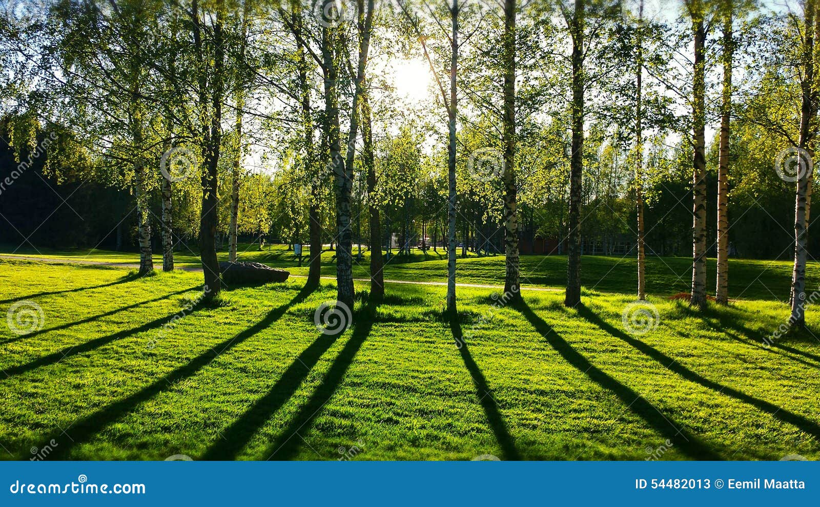 Awesome park landscape stock image. Image of nature, sunset - 54482013