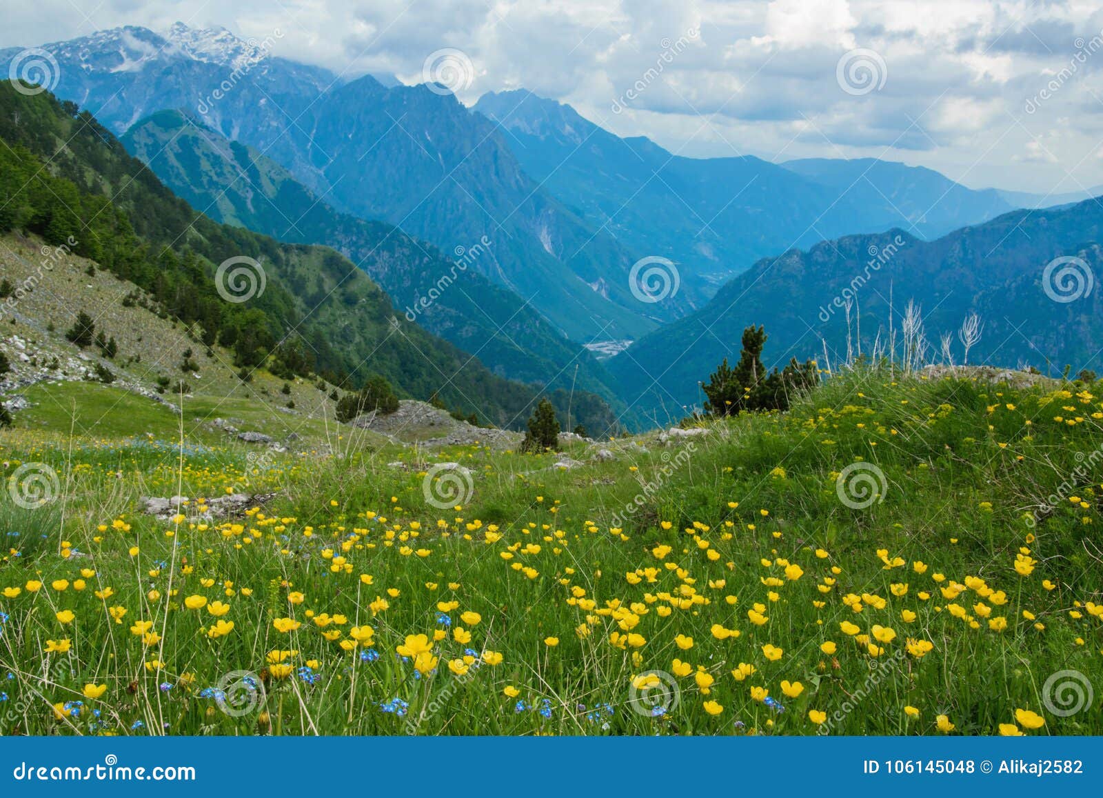 Awesome Spring View of Alps Mountains Stock Photo - Image of grass ...