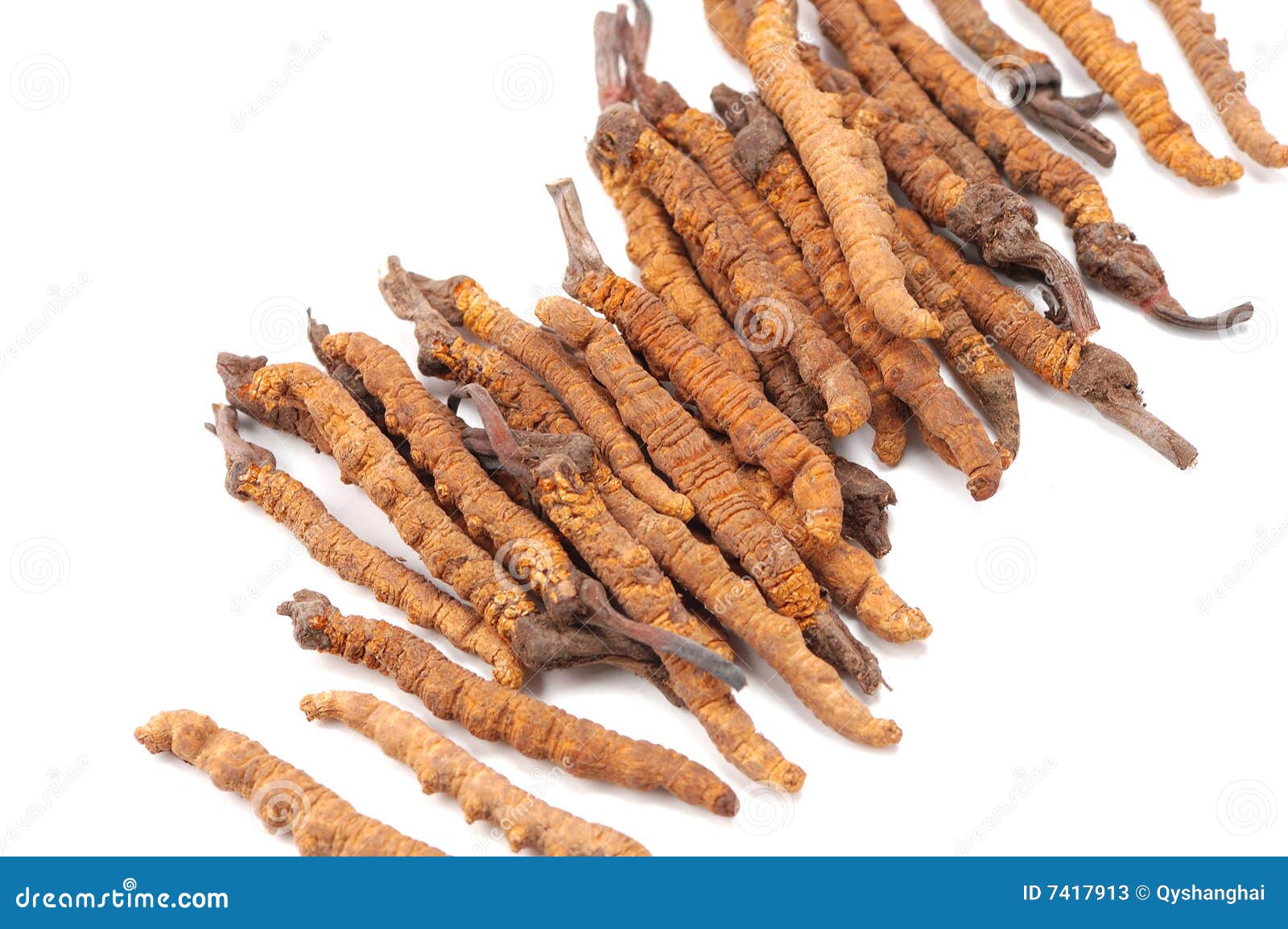 Aweto stock image. Image of fungi, traditional, herbal - 7417913