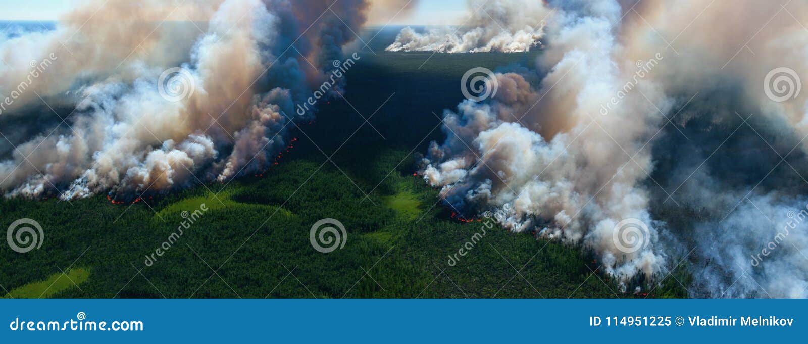 Forest fire, top view stock image. Image of country - 114951225