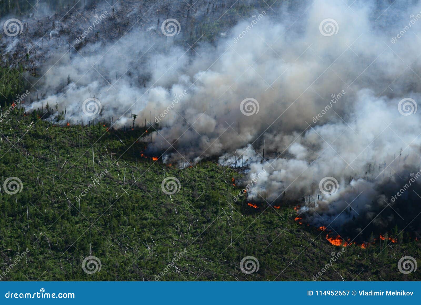 Forest fire, top view stock image. Image of destruction - 114952667