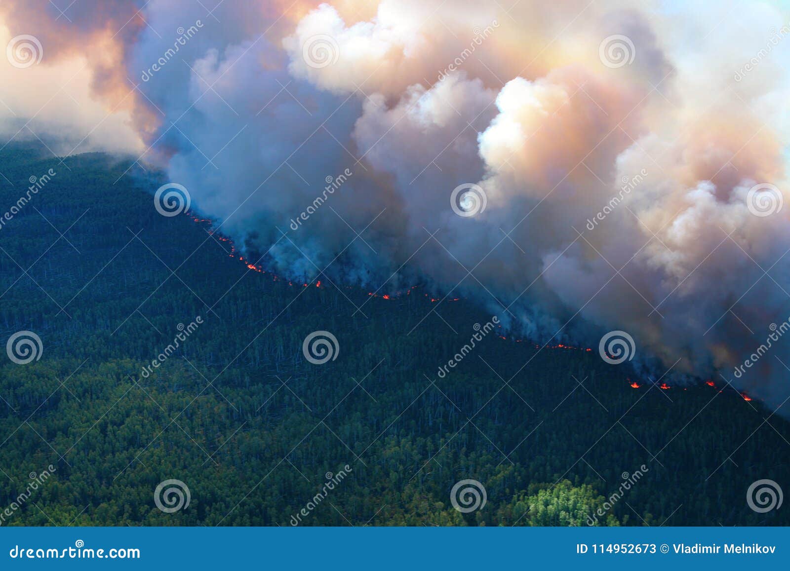 Forest fire, top view stock image. Image of heat, ground - 114952673