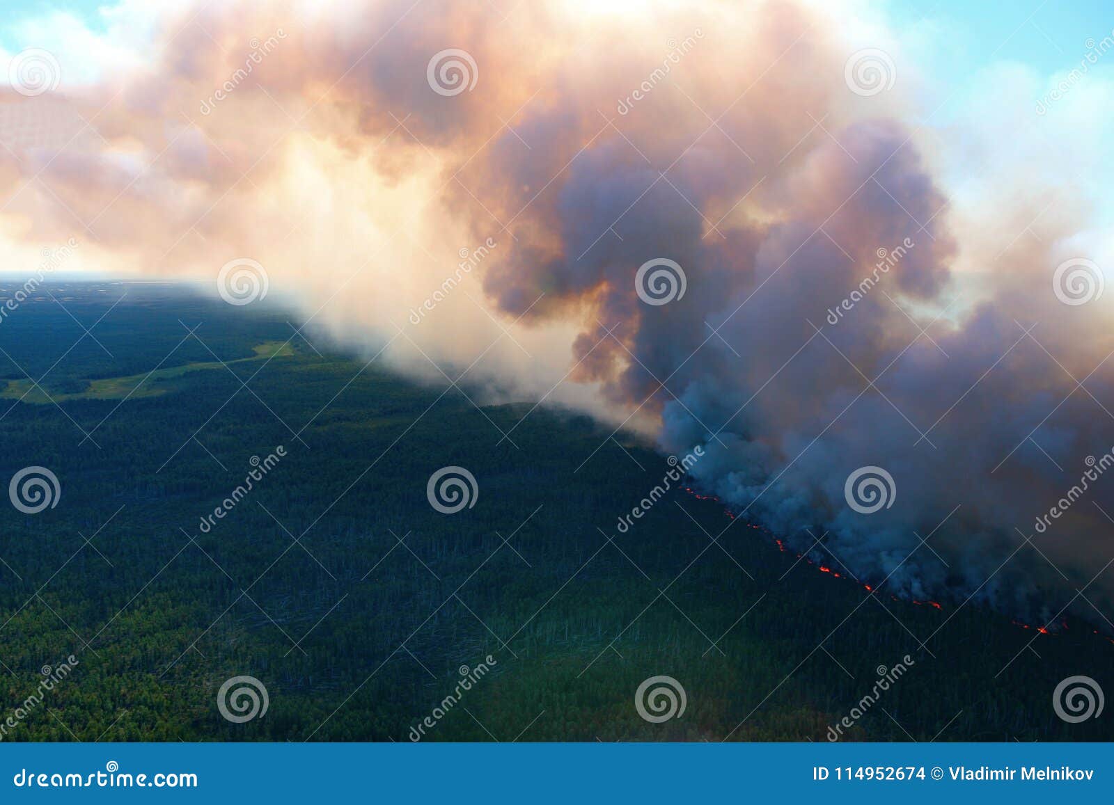 Forest fire, top view stock photo. Image of forest, destruction - 114952674