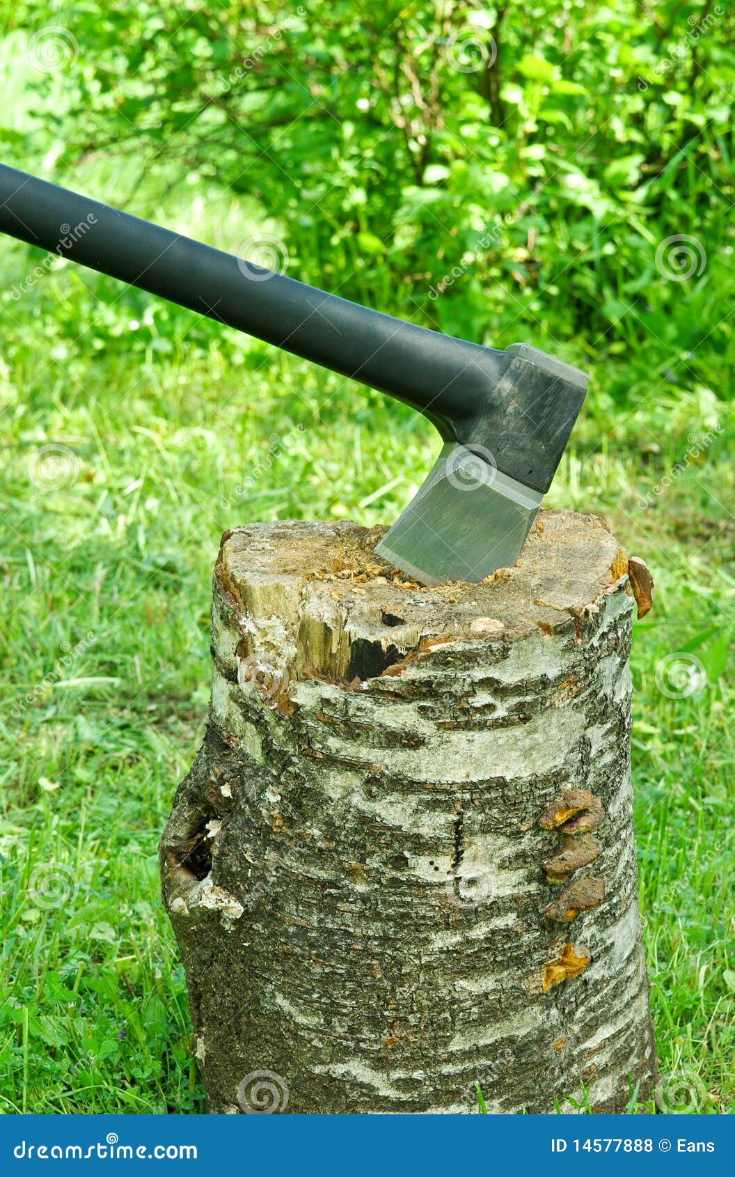 Ax stock photo. Image of timber, lumber, handle, bark - 14577888