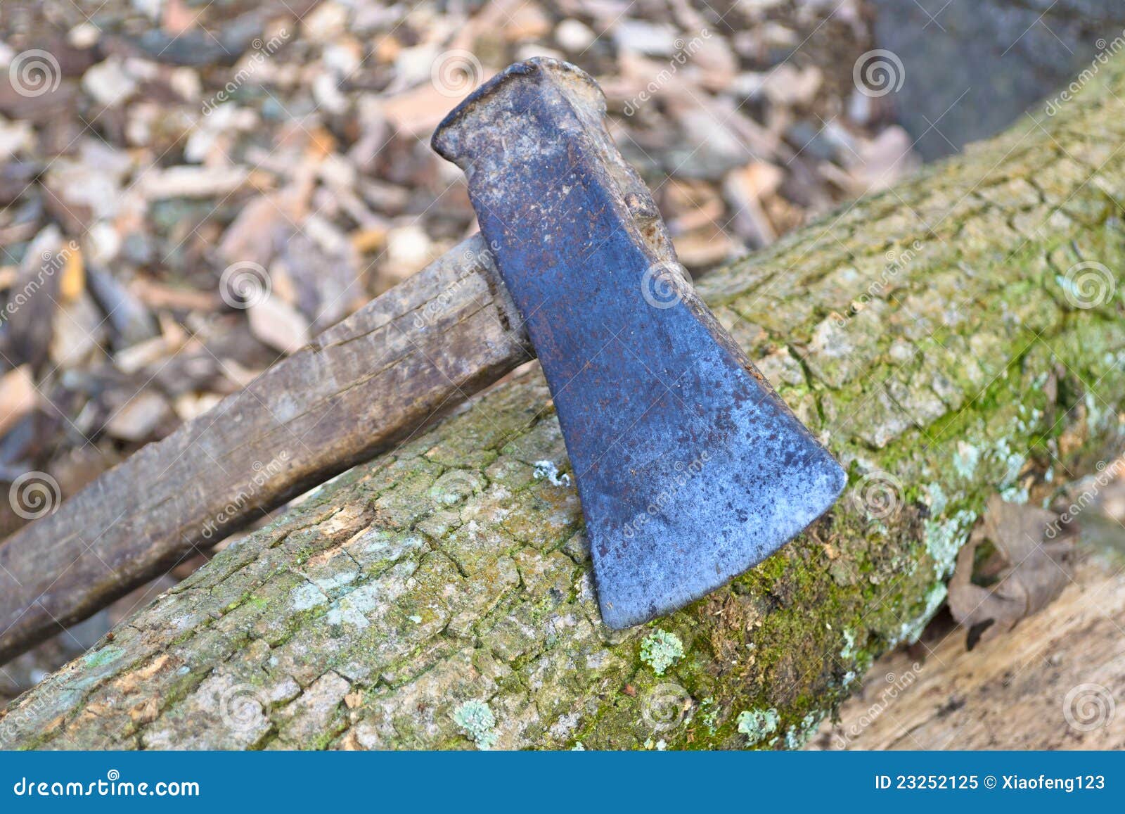 Ax stock image. Image of hatchet, tree, strength, wood - 23252125