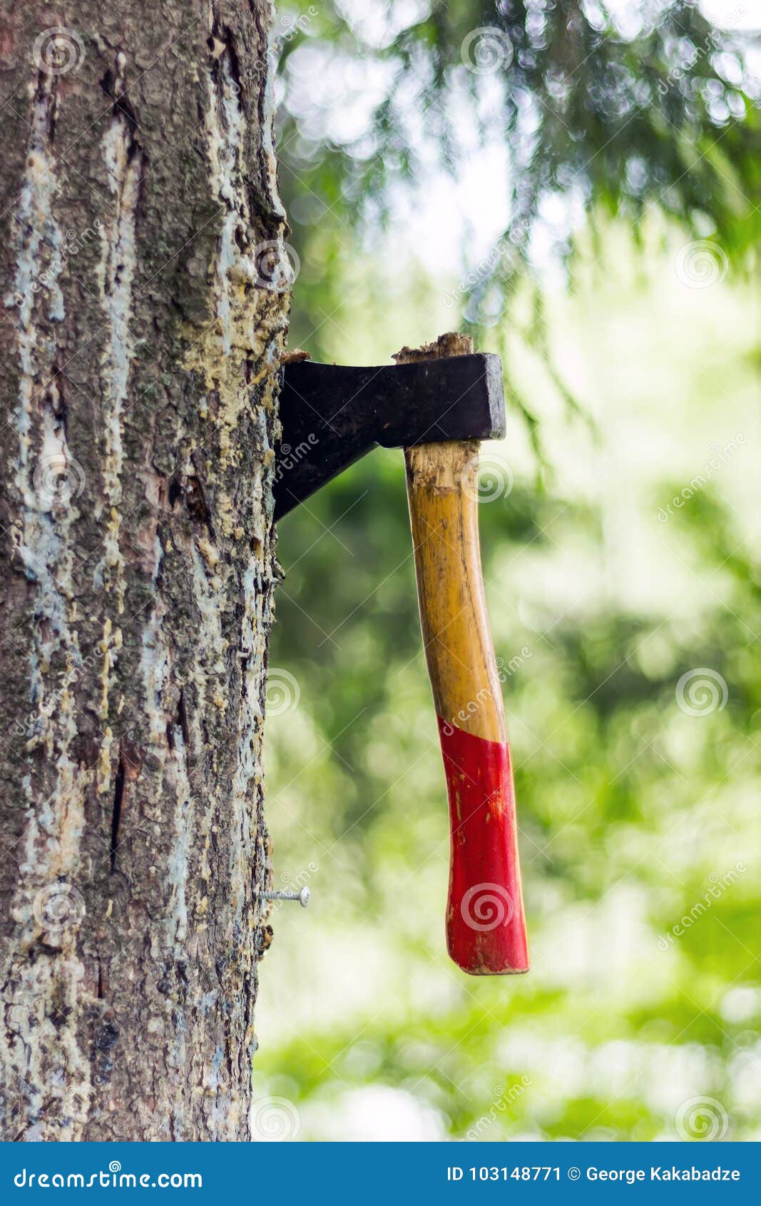 An Ax is Stuck in a Tree in the Forest Stock Image - Image of firewood ...